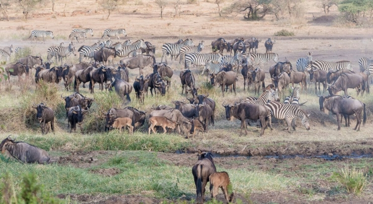 Tansania – das Land der vielfältigen Möglichkeiten | Eyecatcher | Weekend